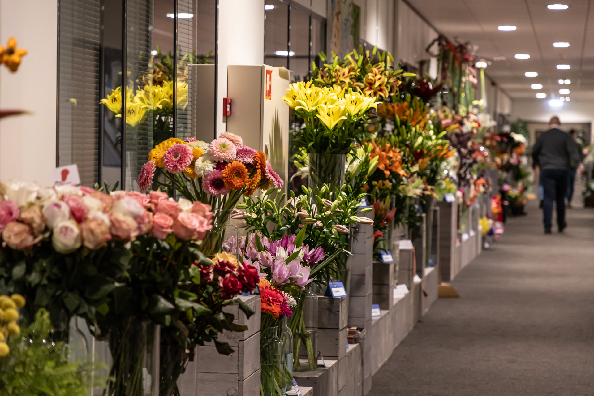 Hilverda De Boer Stockholm, Sweden delivers cut flowers and plants directly to you — Hilverda de ...