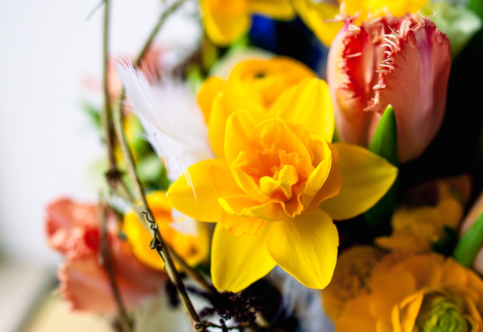 The finishing touch that makes them smile — Hilverda de Boer (en-US)