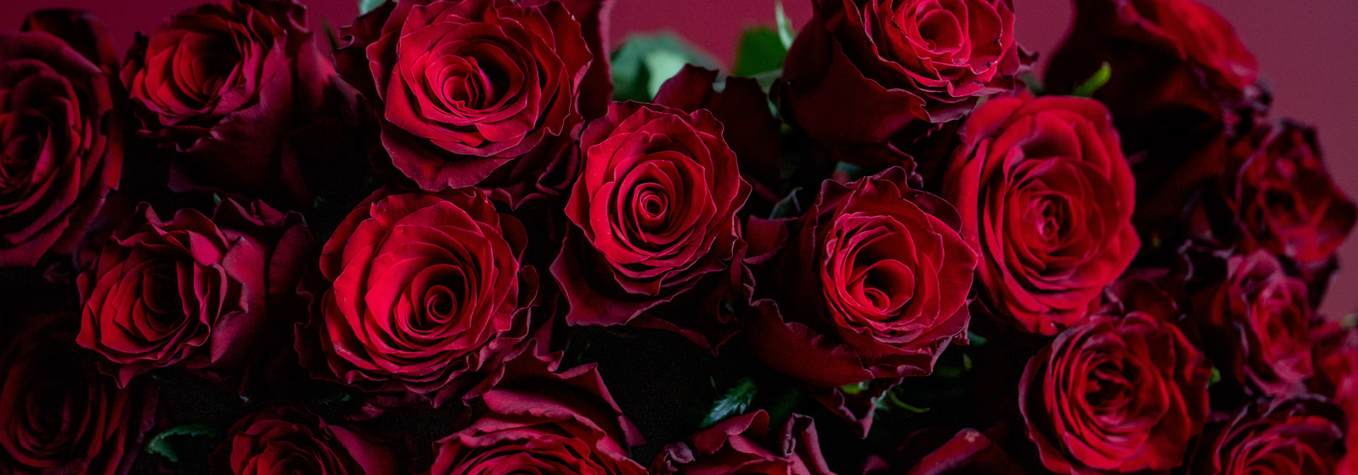 ALL YOU NEED IS LOVE – Discover your ideal flower for Valentine's Day ...