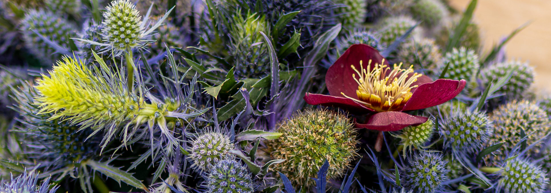 Mourning and remembrance - Personalise mourning pieces using colours ...