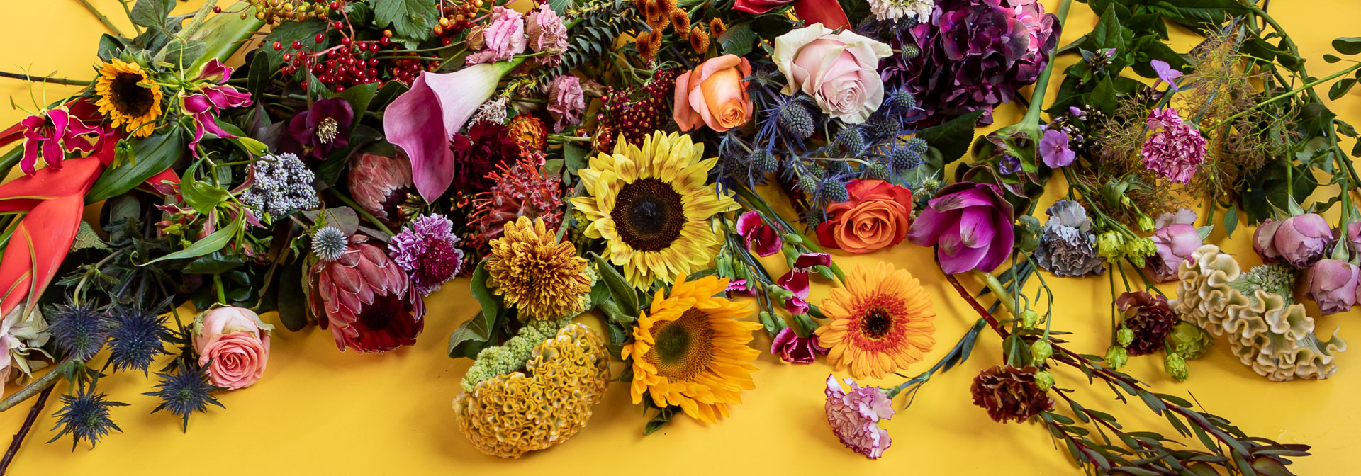 Embrace autumn with flowers and plants! — De Gooijer International (en-GB)