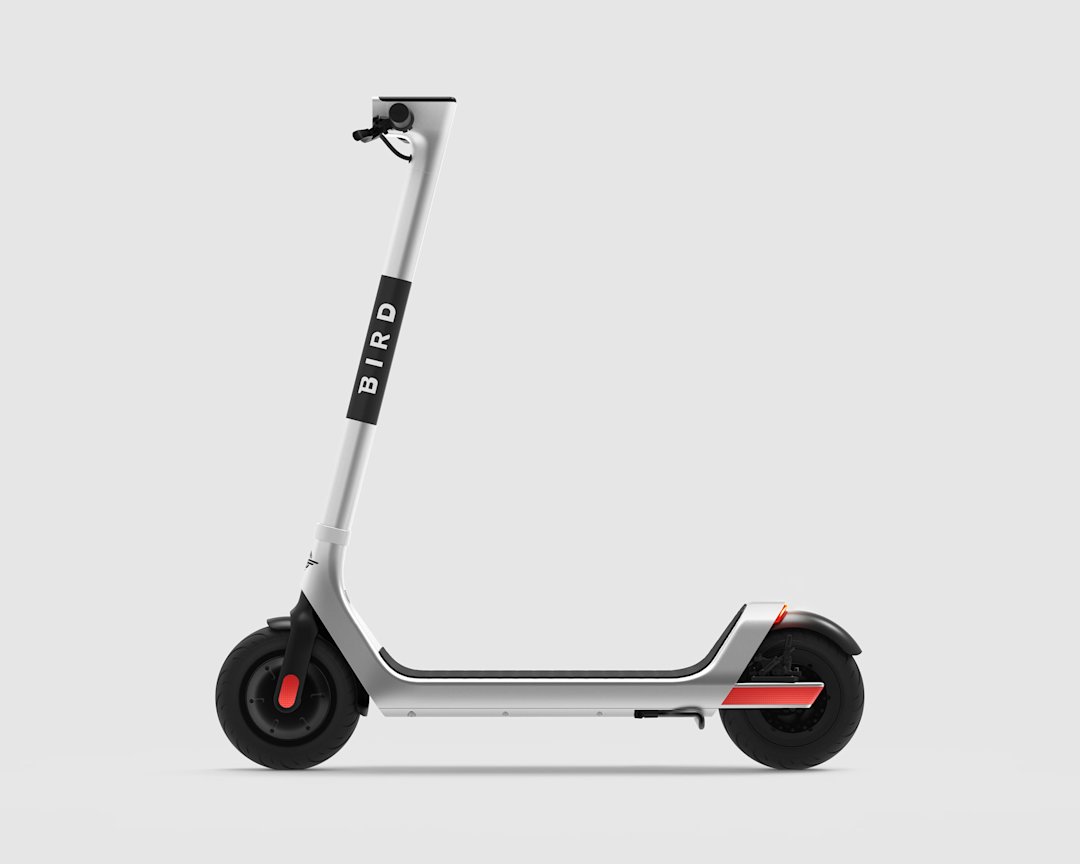 Bird Two — Branch Creative