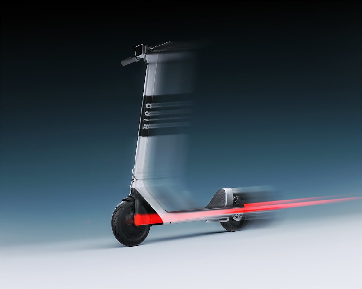 Bird Two — Branch Creative