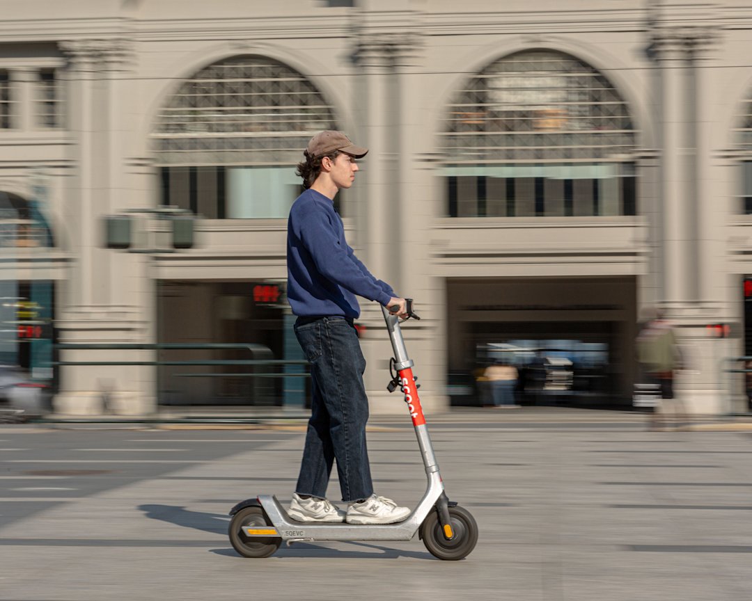 Bird Two — Branch Creative