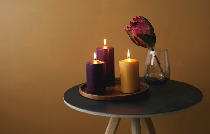 Home Page | Havi