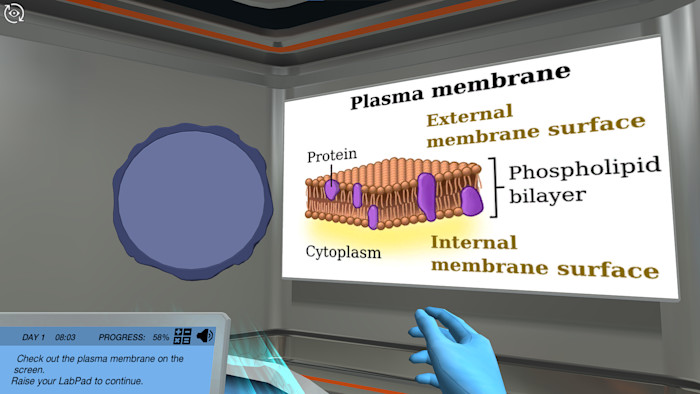 Comparing Bacterial Structures | Labster Virtual Labs