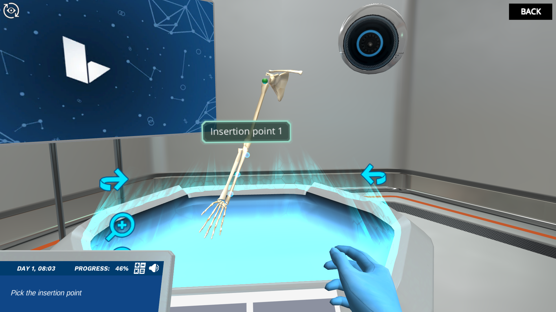 Skeletal Muscle Movement Virtual Lab: Build your own muscle system