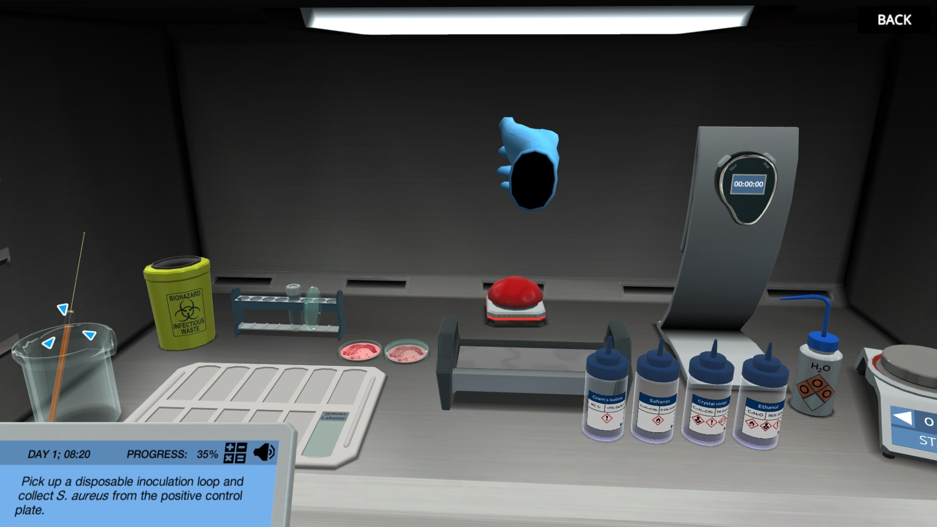 Using the Gram Stain to Help Diagnose Meningitis Virtual Lab