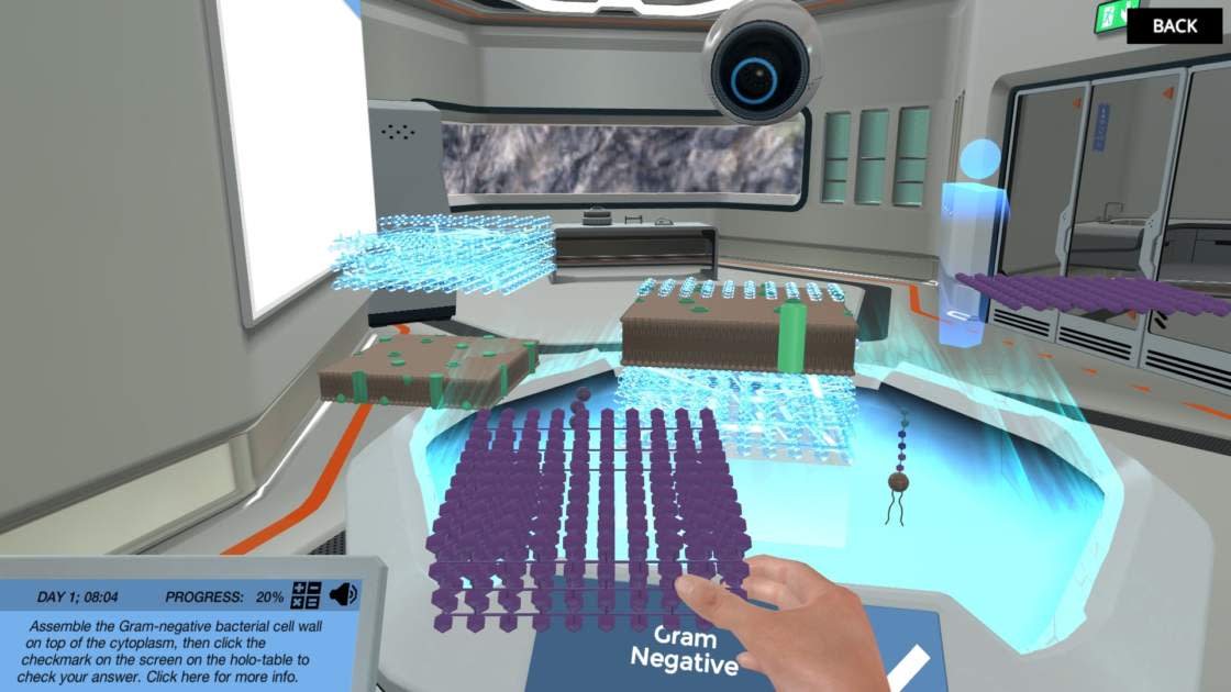 Building Gram Positive and Gram Negative Cell Walls | Labster Virtual Labs