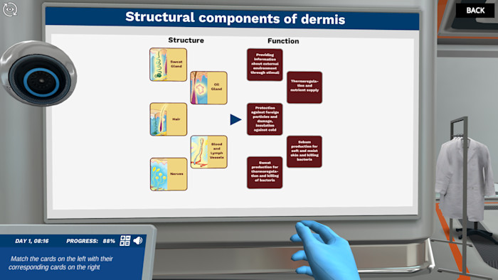 Skin Layers and Organ Anatomy: Follow a skin cell’s journey! | Labster Virtual Labs