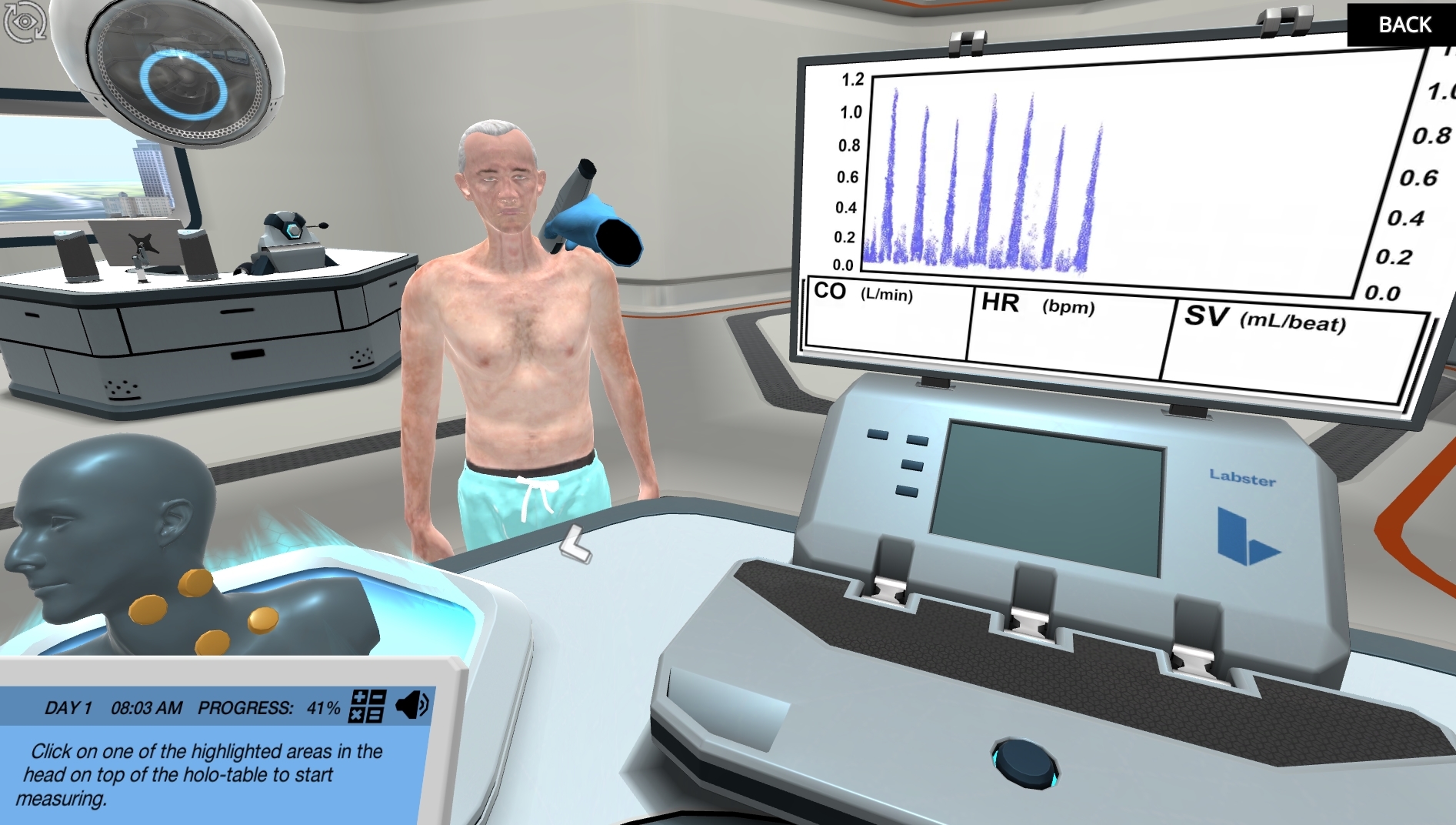 Cardiovascular Function During Exercise: Learn how your body reacts to ...