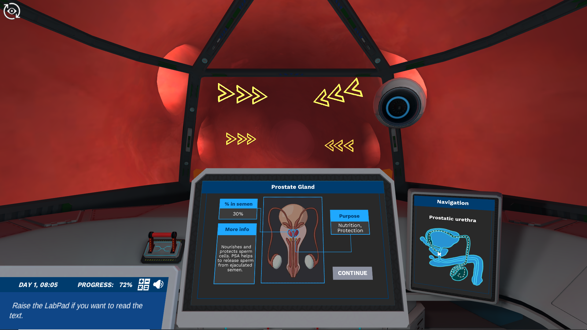 Introduction to the Male Reproductive System Virtual Lab