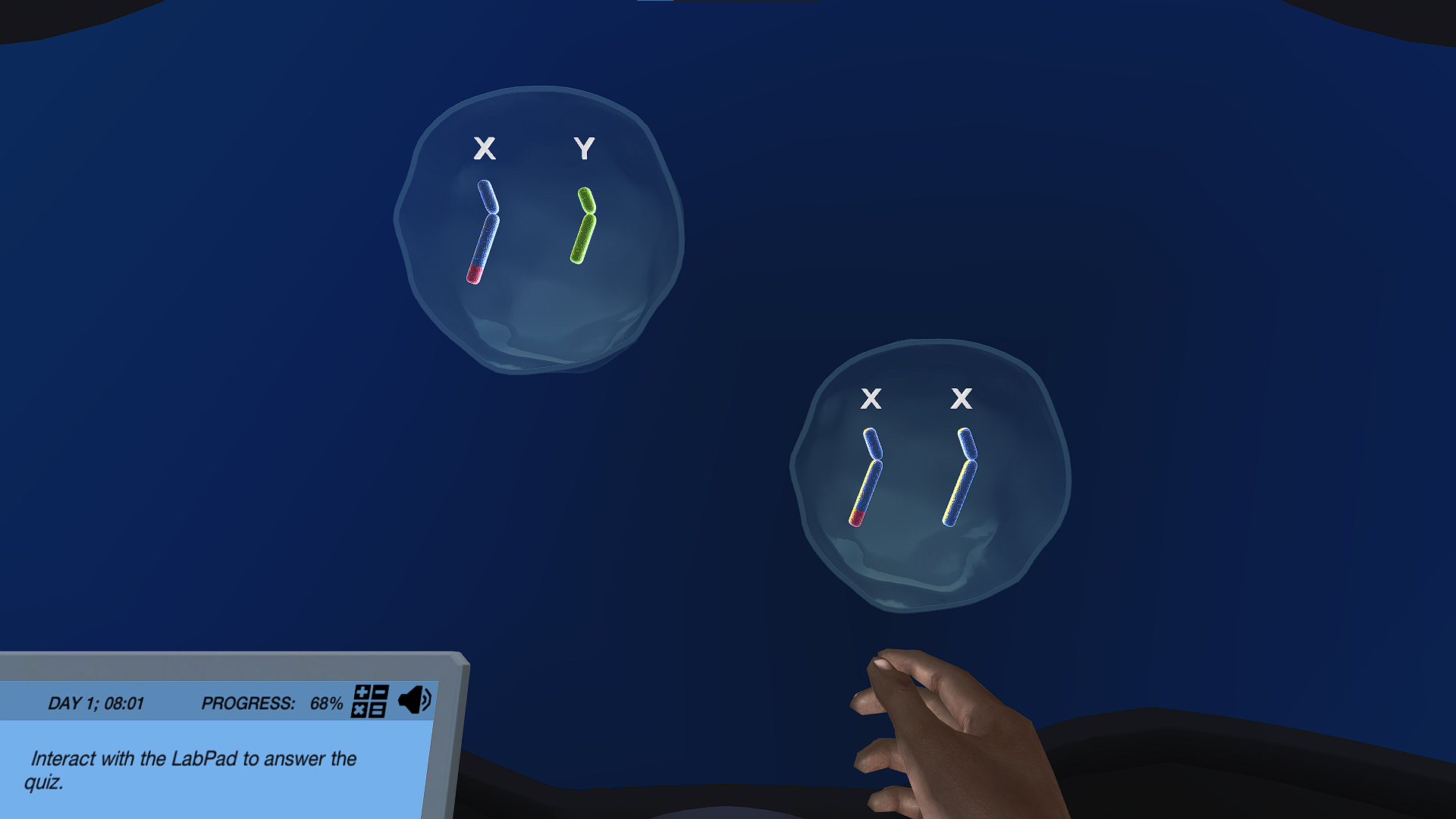 Meiosis: How is color blindness inherited? Virtual Lab