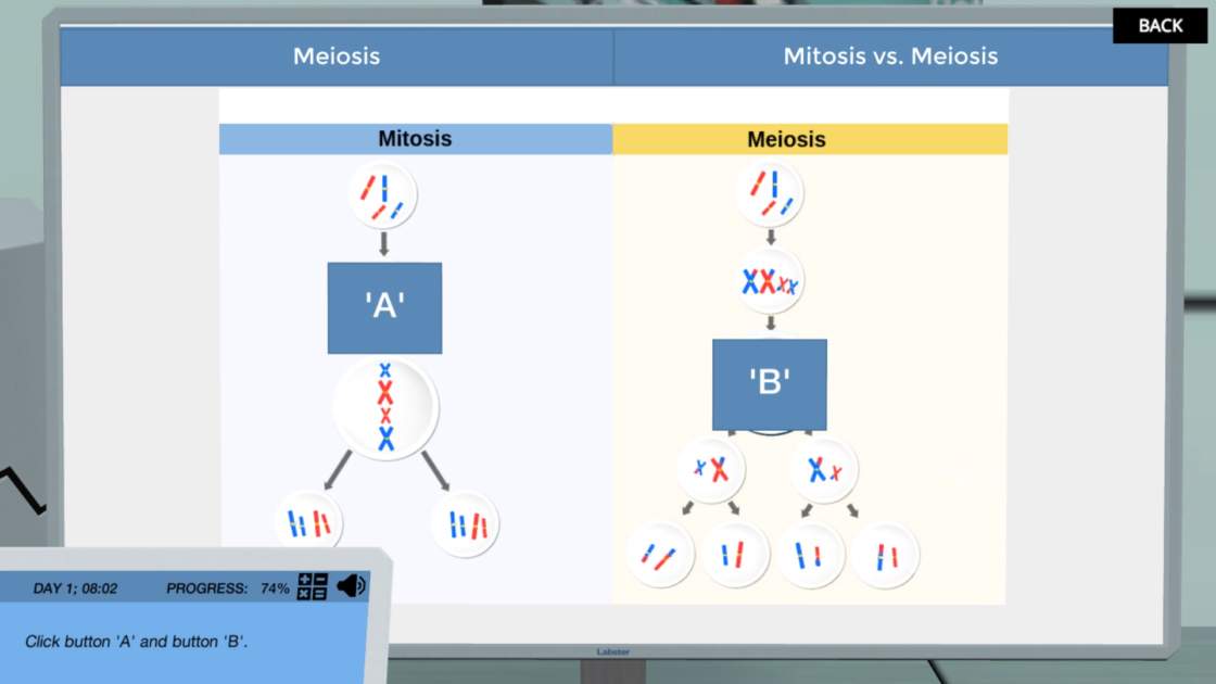 Exploring Human Reproductive Cells Virtual Lab | Labster