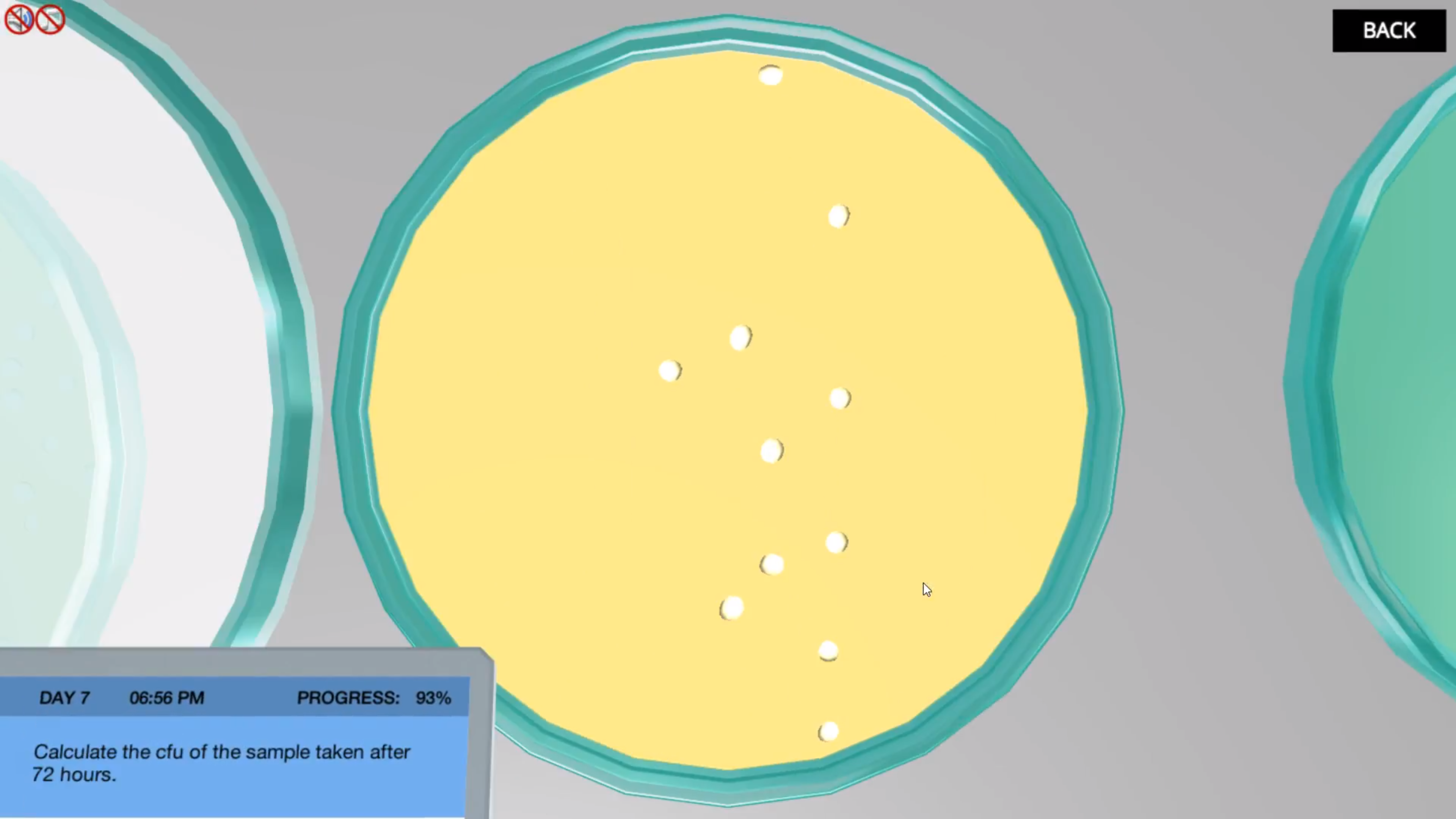 Bacterial Quantification by Culture Virtual Lab
