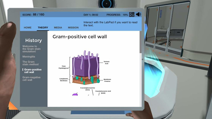 Building Gram Positive and Gram Negative Cell Walls | Labster Virtual Labs