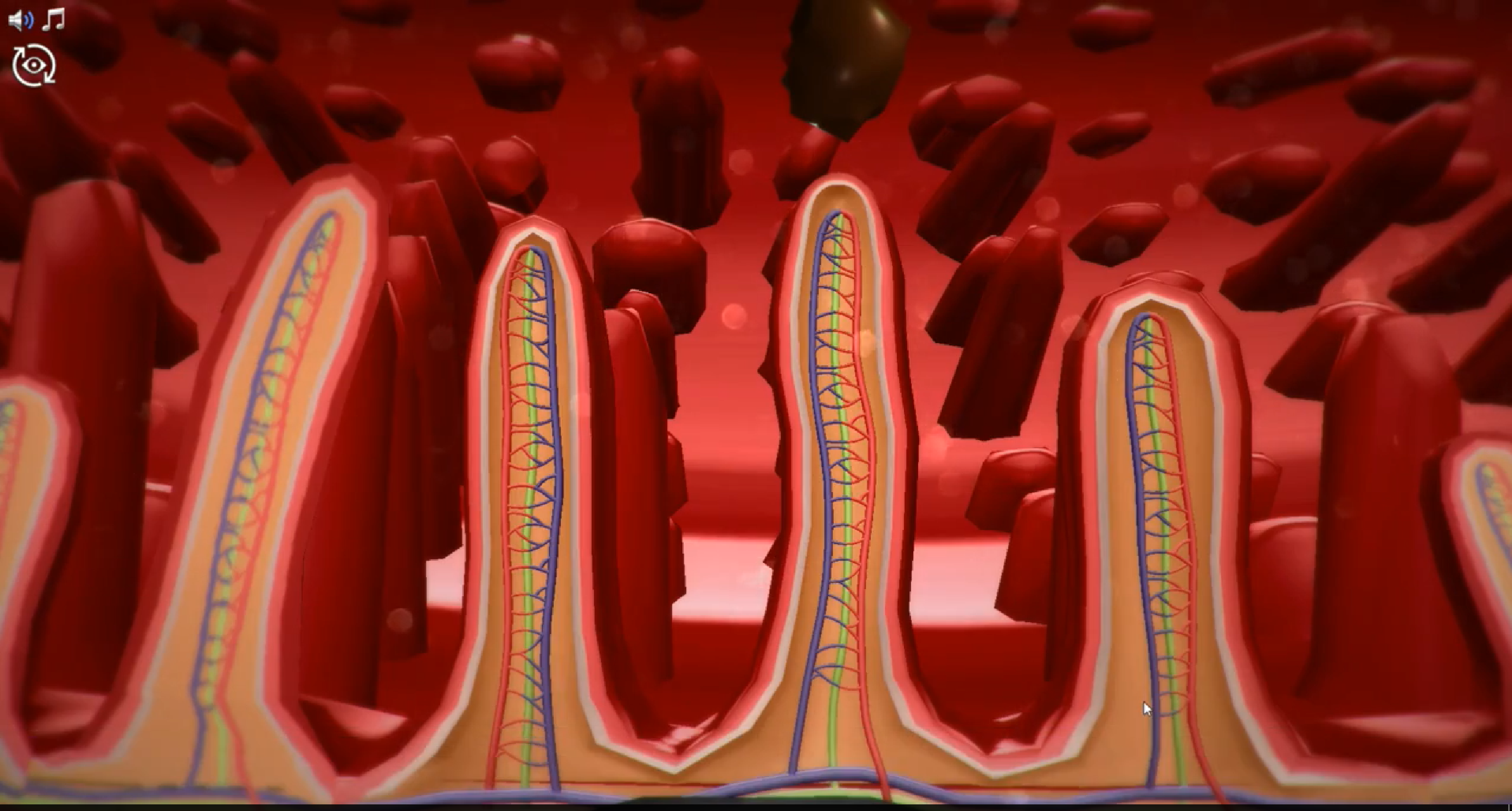 Your Diet and Your DNA Virtual Lab