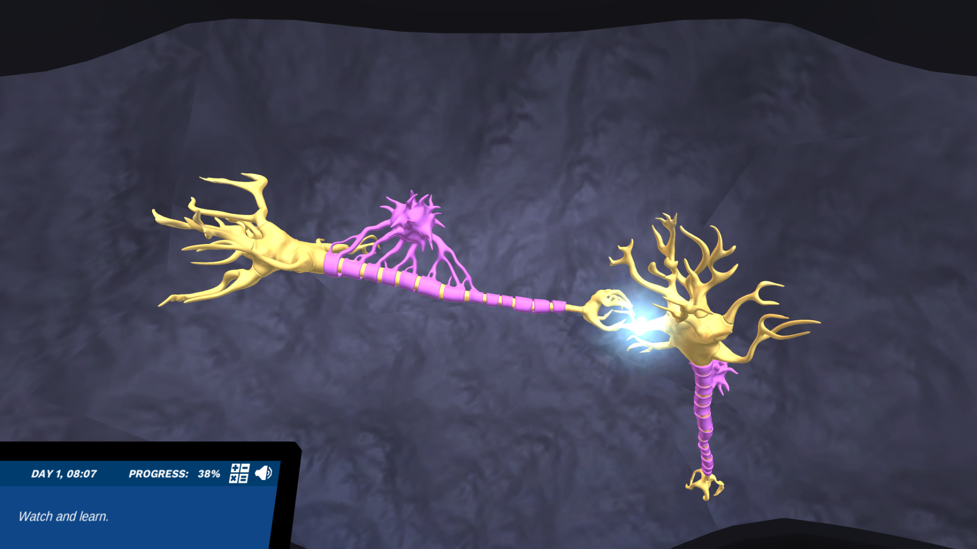 Microanatomy of a Neuron Virtual Lab Simulation | Labster