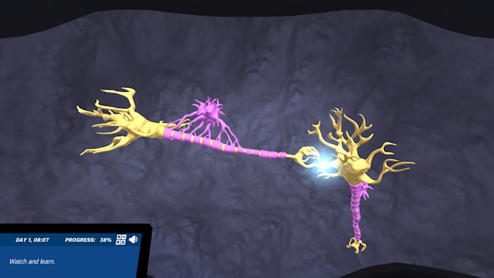 Microanatomy of a Neuron: Build your own neurons! | Labster Virtual Labs