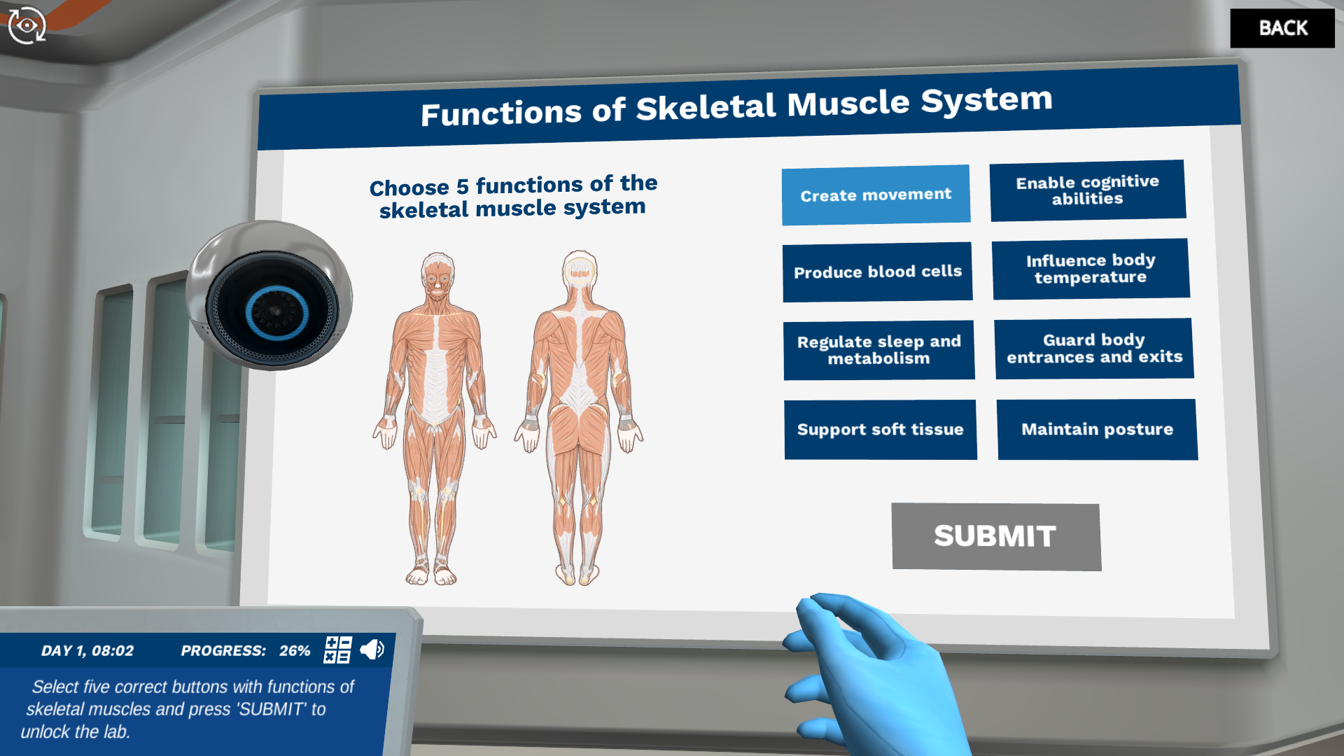 Skeletal Muscle Movement Virtual Lab: Build your own muscle system