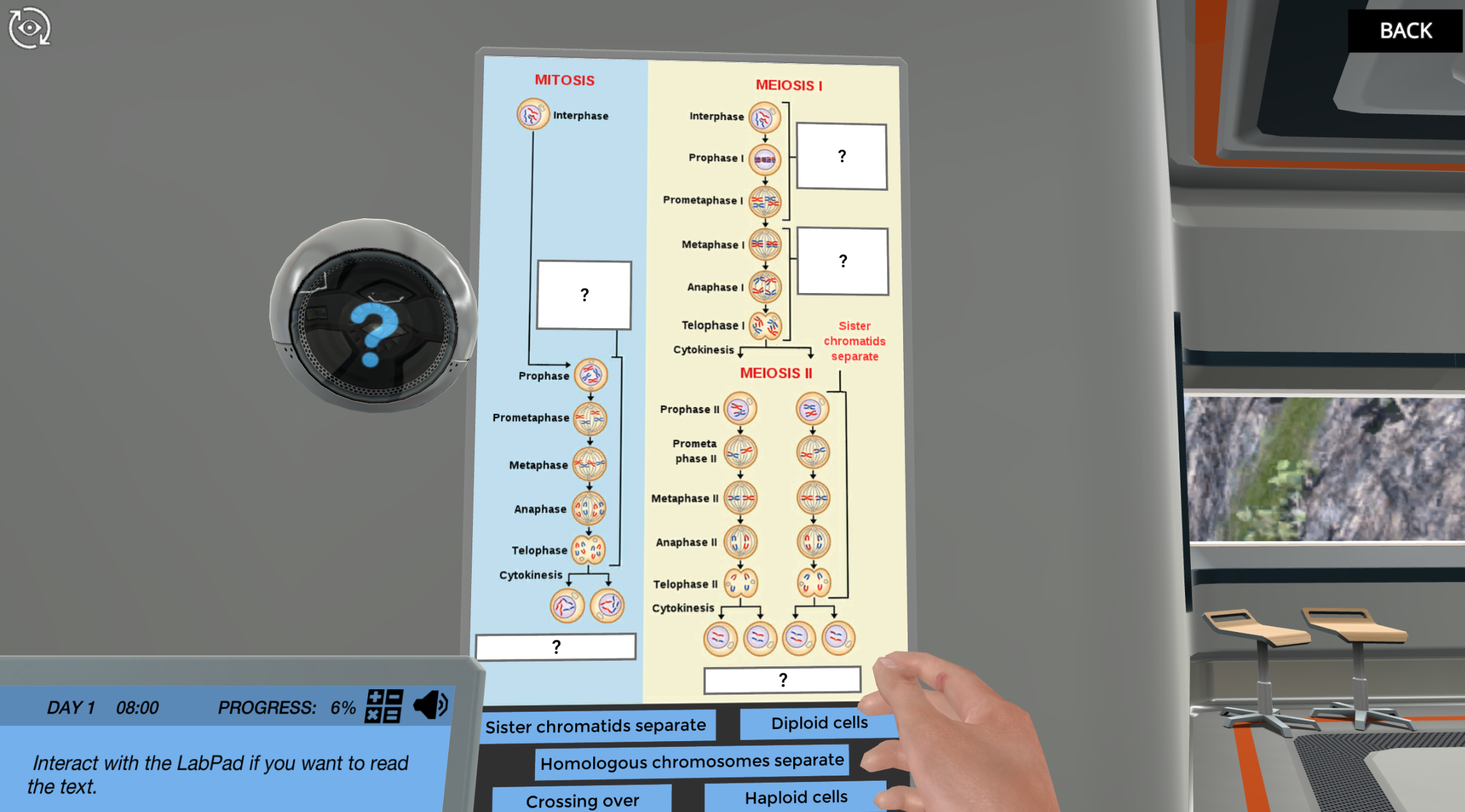 Cell Division (Principles): Mitosis and Meiosis Virtual Lab