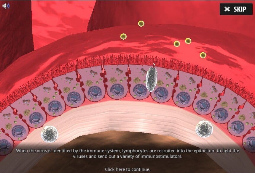 Microscopy Virtual Lab