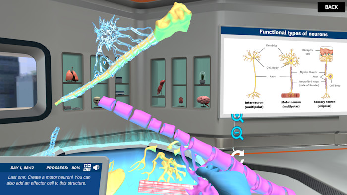 Microanatomy of a Neuron: Build your own neurons! | Labster Virtual Labs