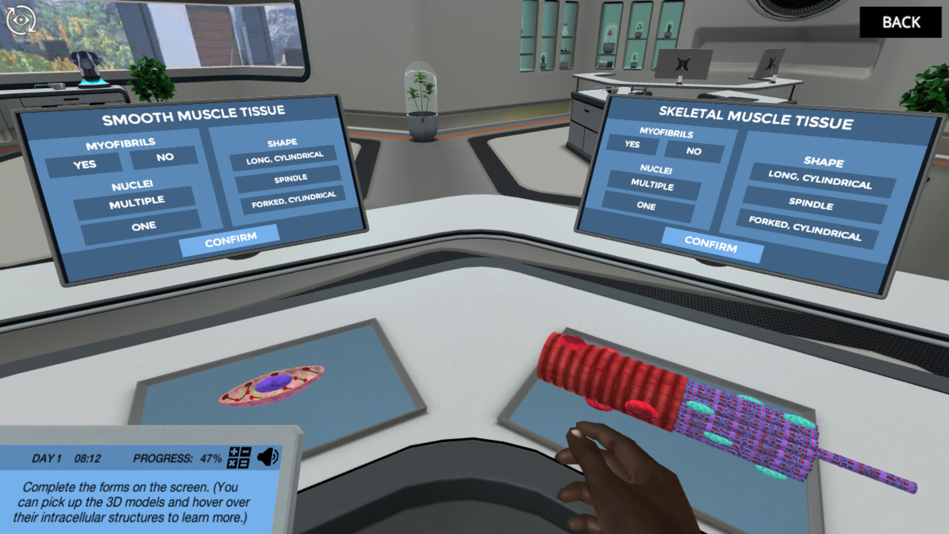 Muscle tissues: An overview | Labster Virtual Labs