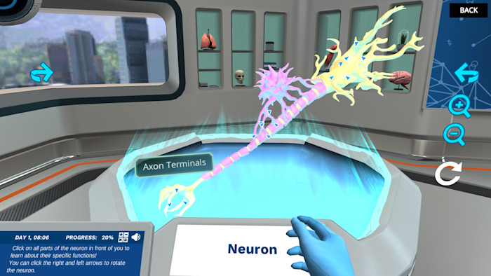 Microanatomy of a Neuron: Build your own neurons! | Labster Virtual Labs