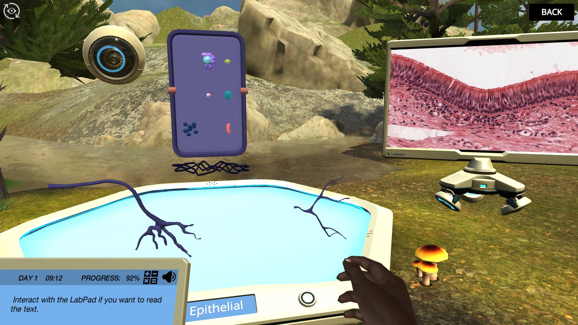 Cell Structure: Cell theory and internal organelles Virtual Lab