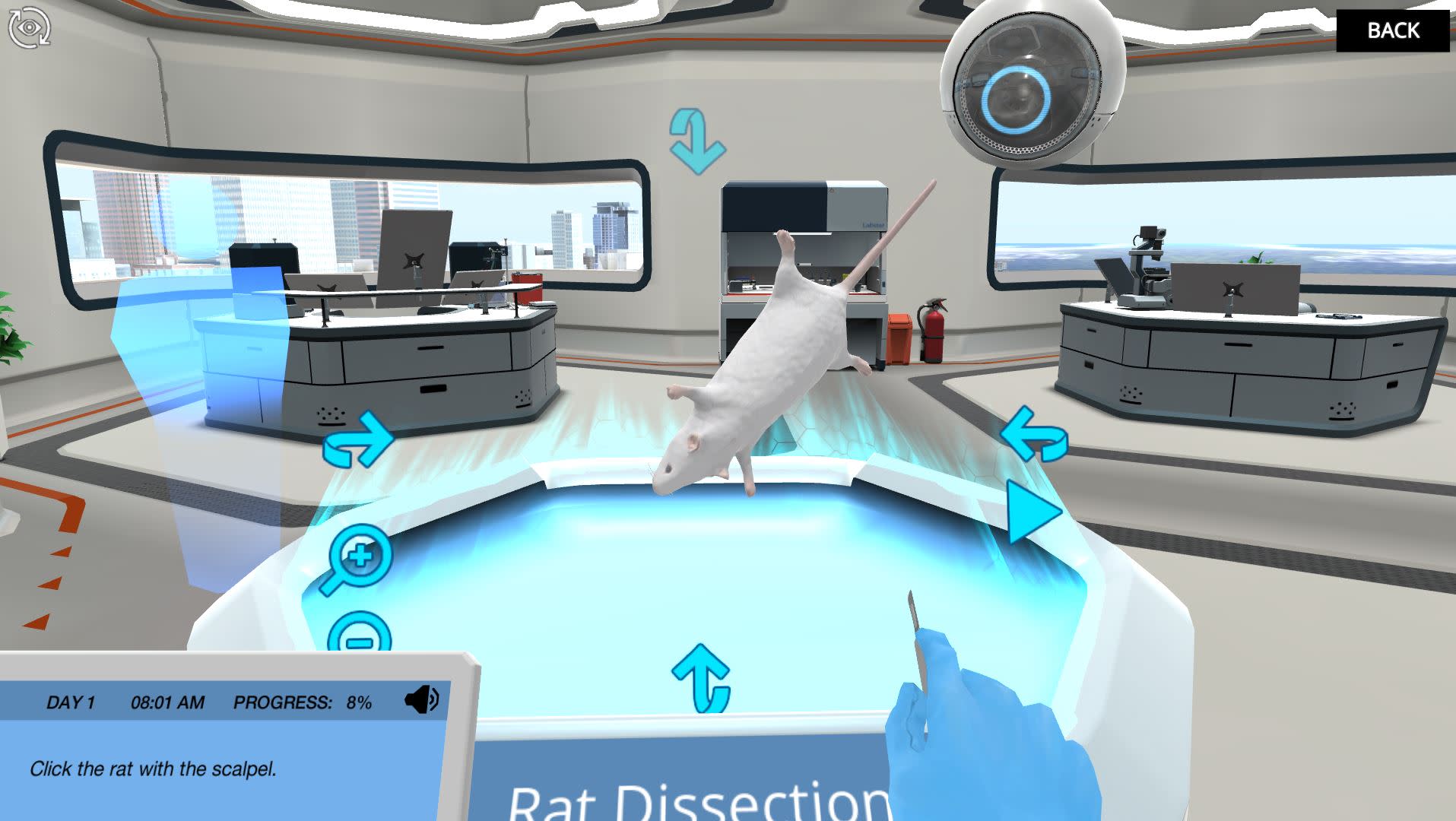 Skeletal Muscle: Learn about the muscles we use to walk and run ...