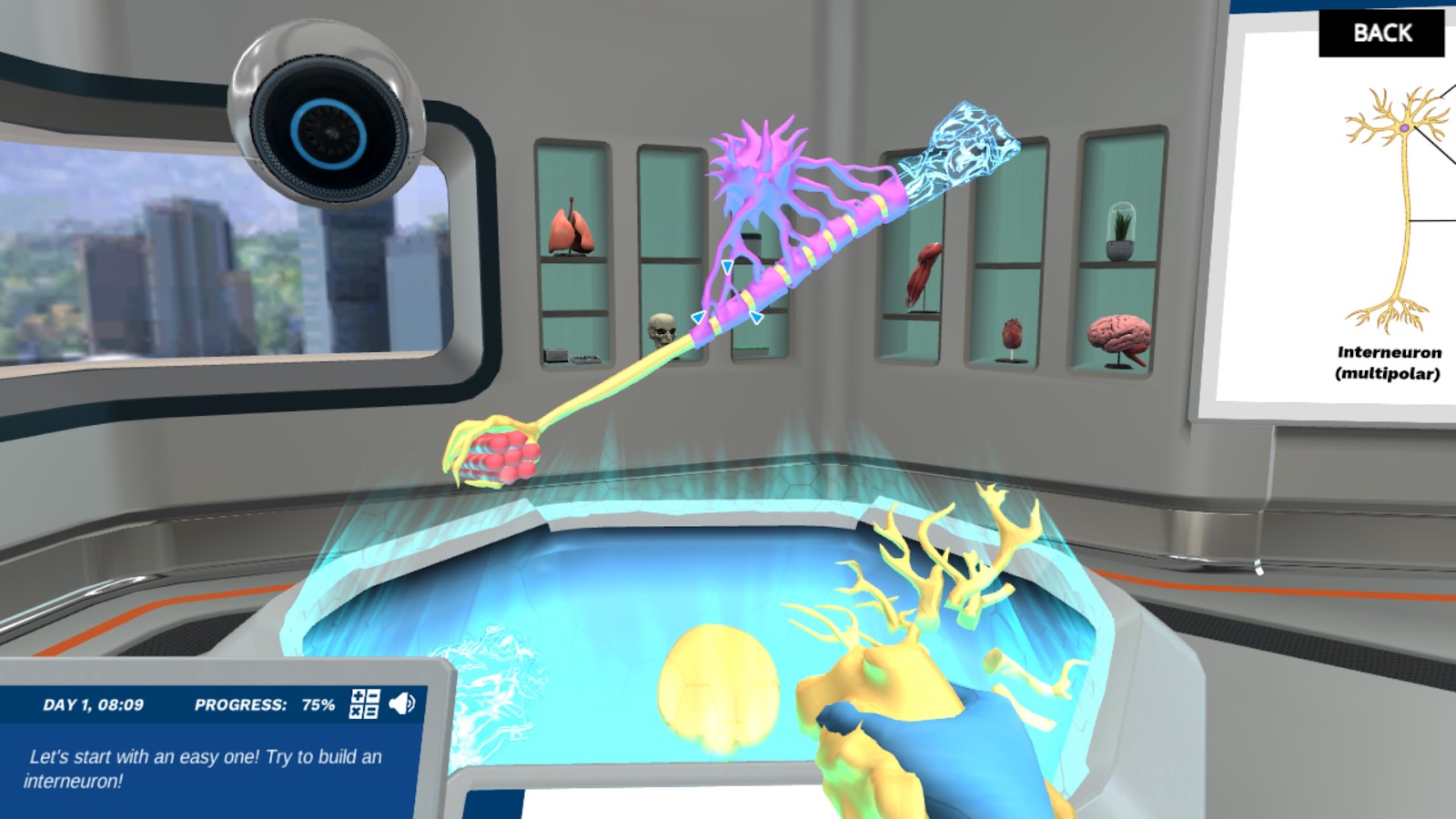 Microanatomy of a Neuron: Build your own neurons! Virtual Lab