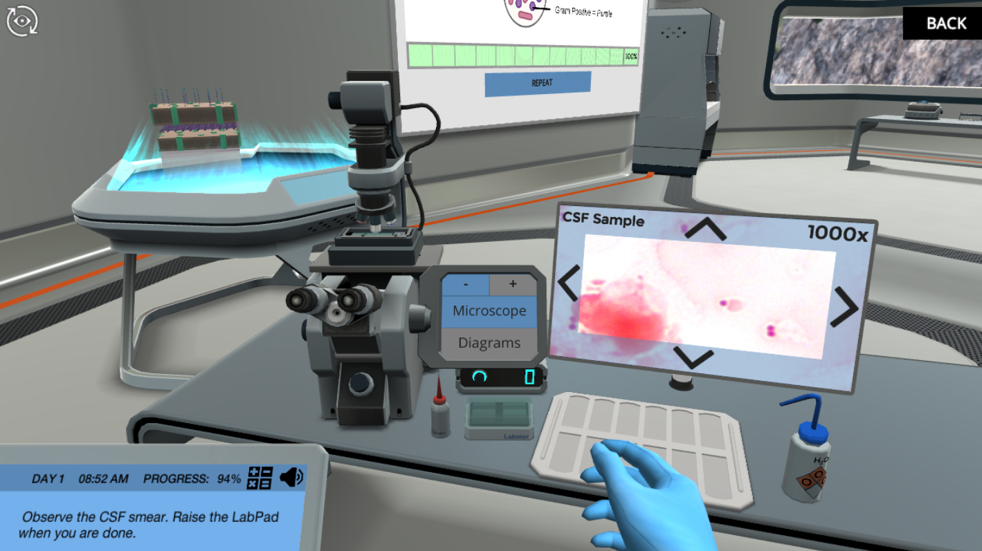 The Gram Stain: Identify and differentiate bacteria Virtual Lab