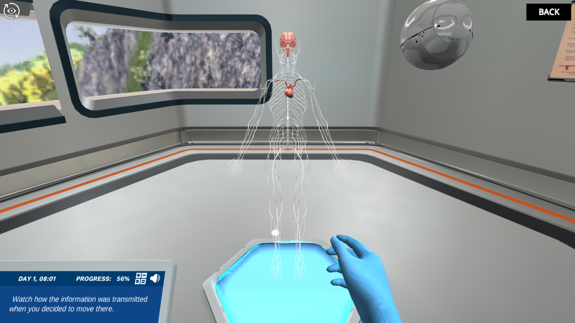 Gross Function of the Nervous System Virtual Lab | Labster