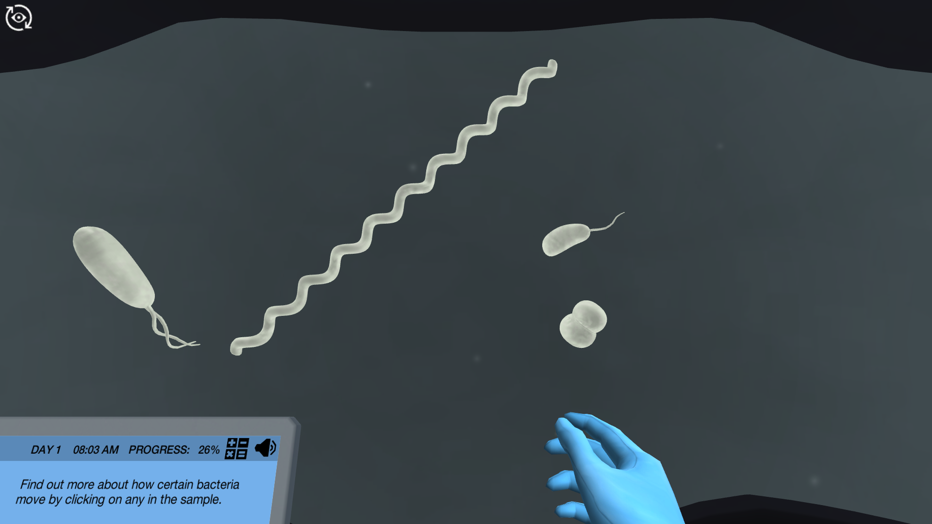 Bacterial Cell Structures: An introduction to the bacterial cell ...