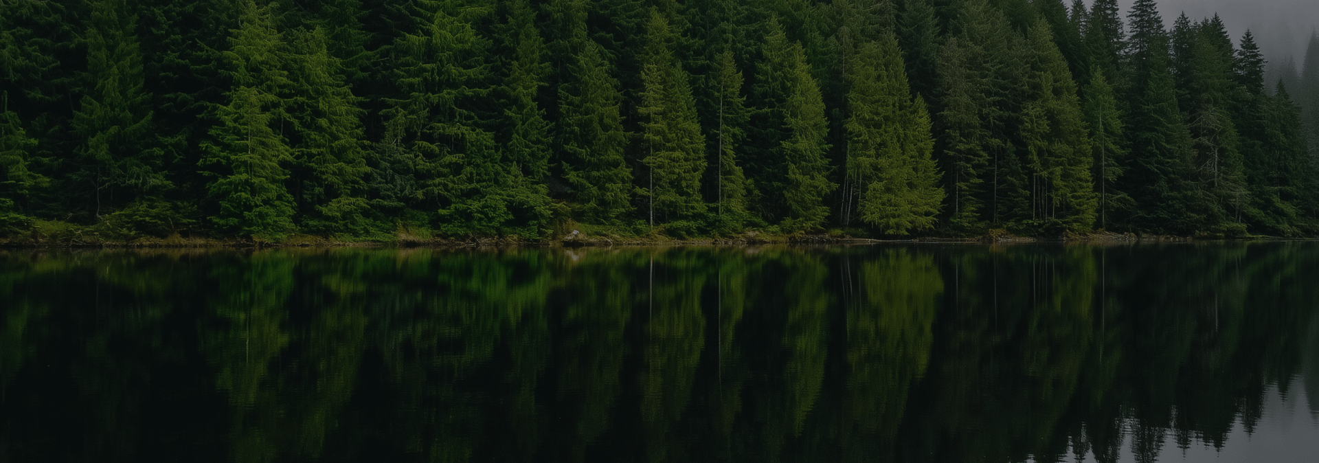 Huel Official Discount Codes | Huel