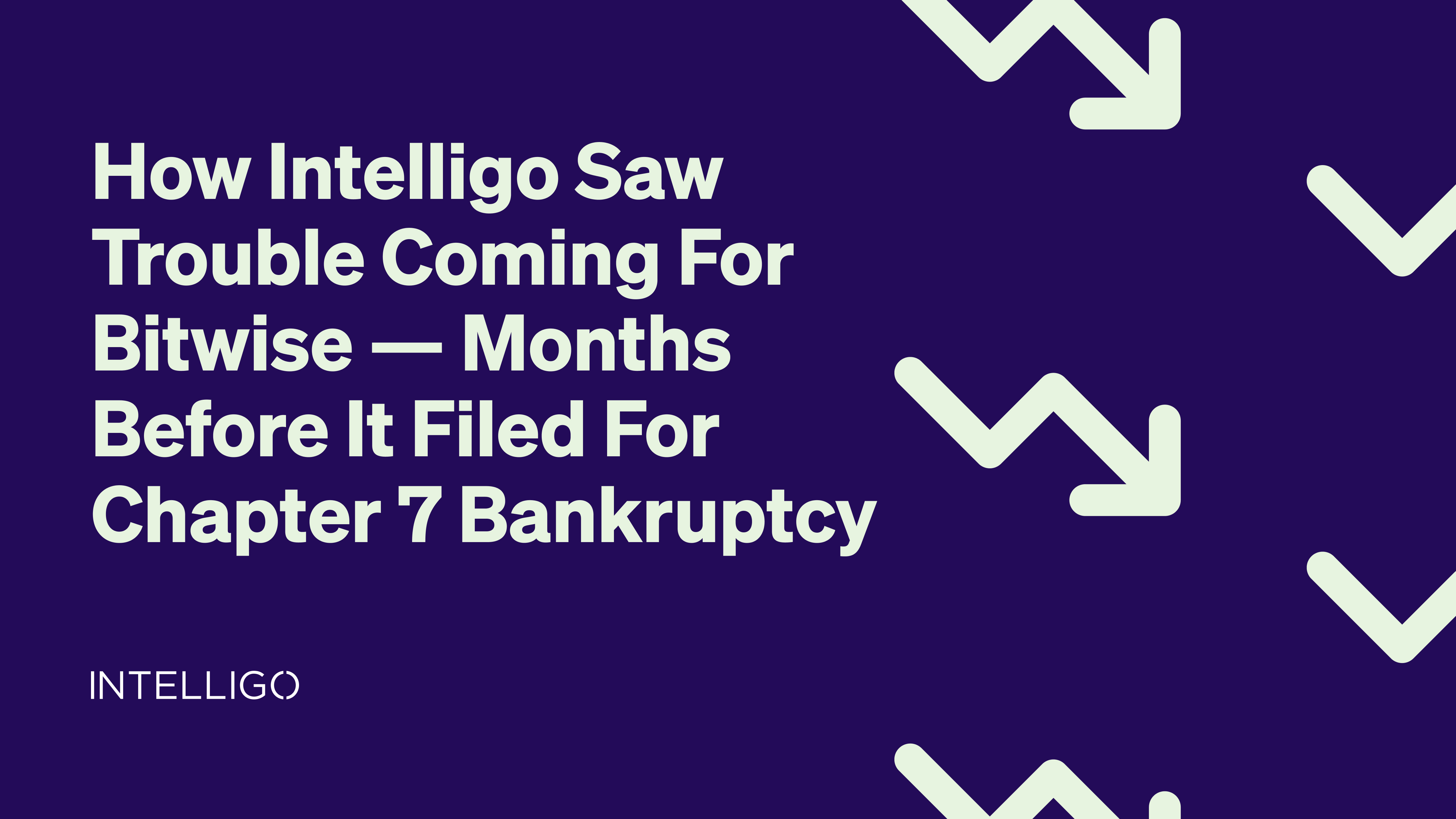 How Intelligo Saw Trouble Coming For Bitwise — Months Before It Filed For Chapter 7 Bankruptcy ...