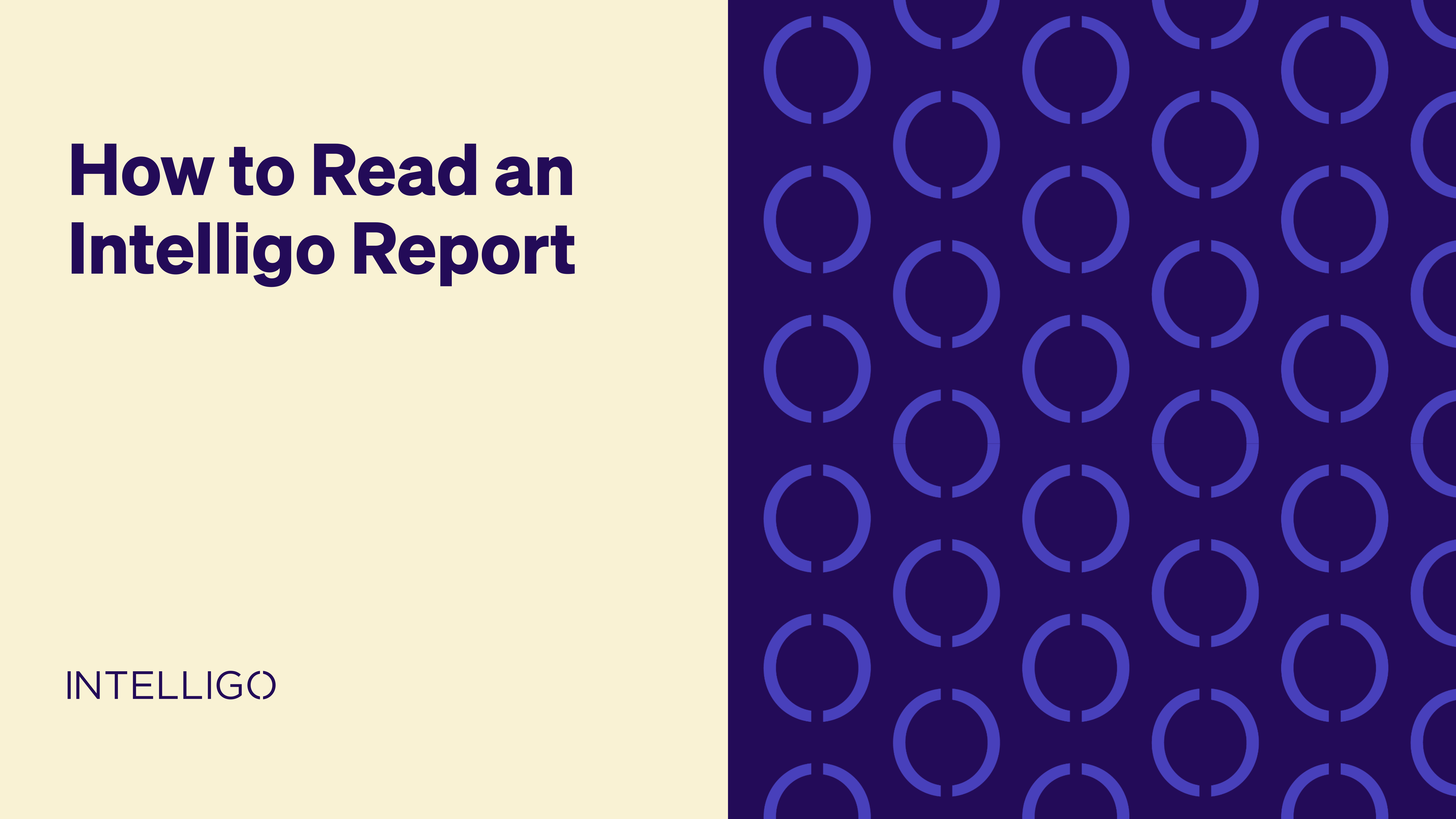 How to Read an Intelligo Report