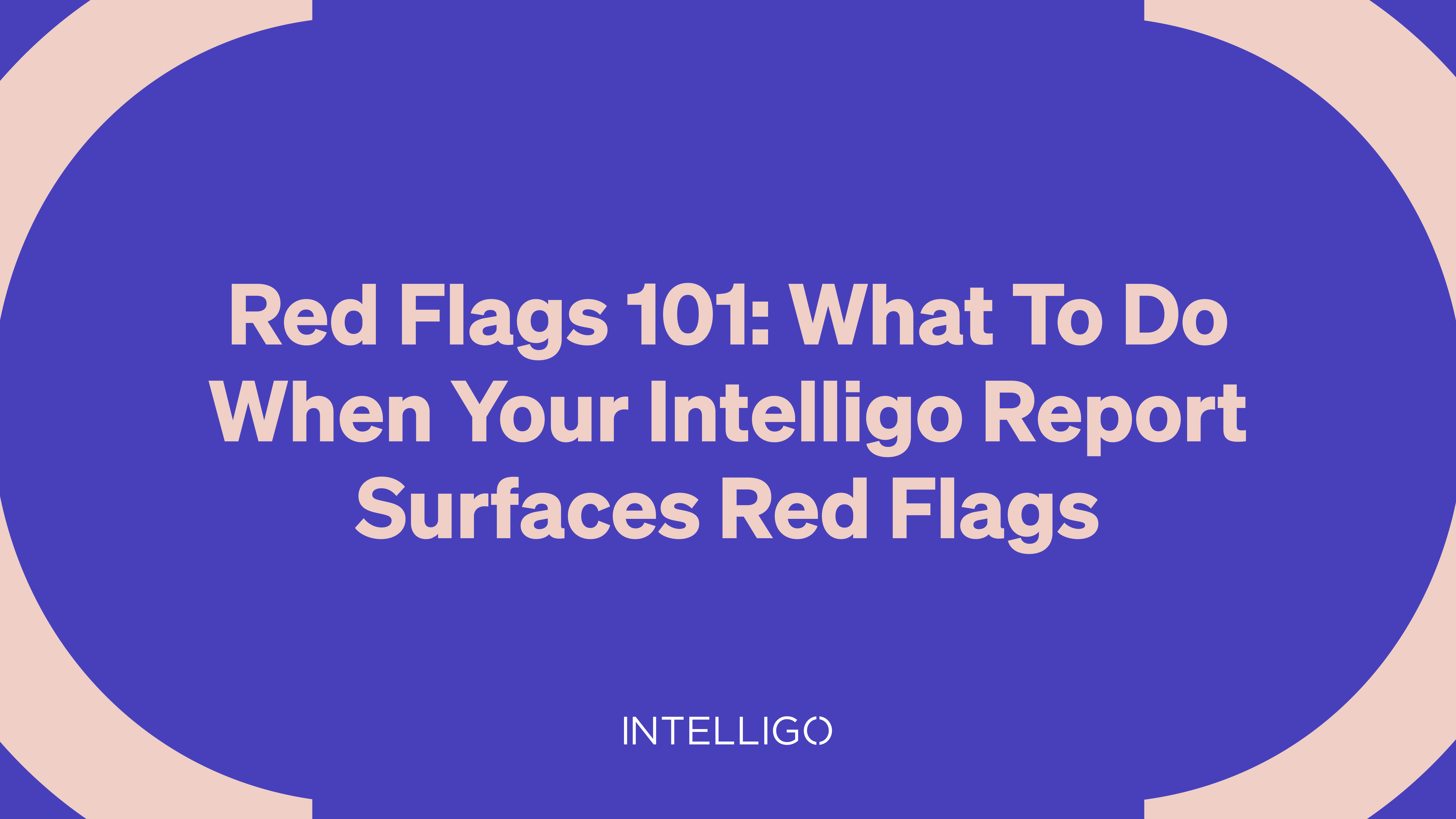 Red Flags 101: What To Do When Your Intelligo Report Surfaces Red Flags