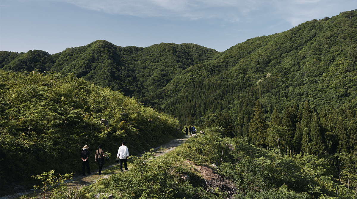 Overlapping Ripples | Konel Inc.