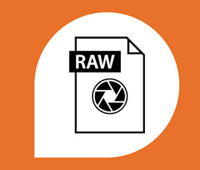 Hoeveel postzegels plakken? Alles over frankeren | Printdeal.be