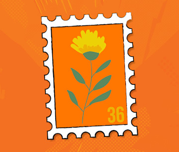 Wat is een PNG bestand? | Printdeal.be