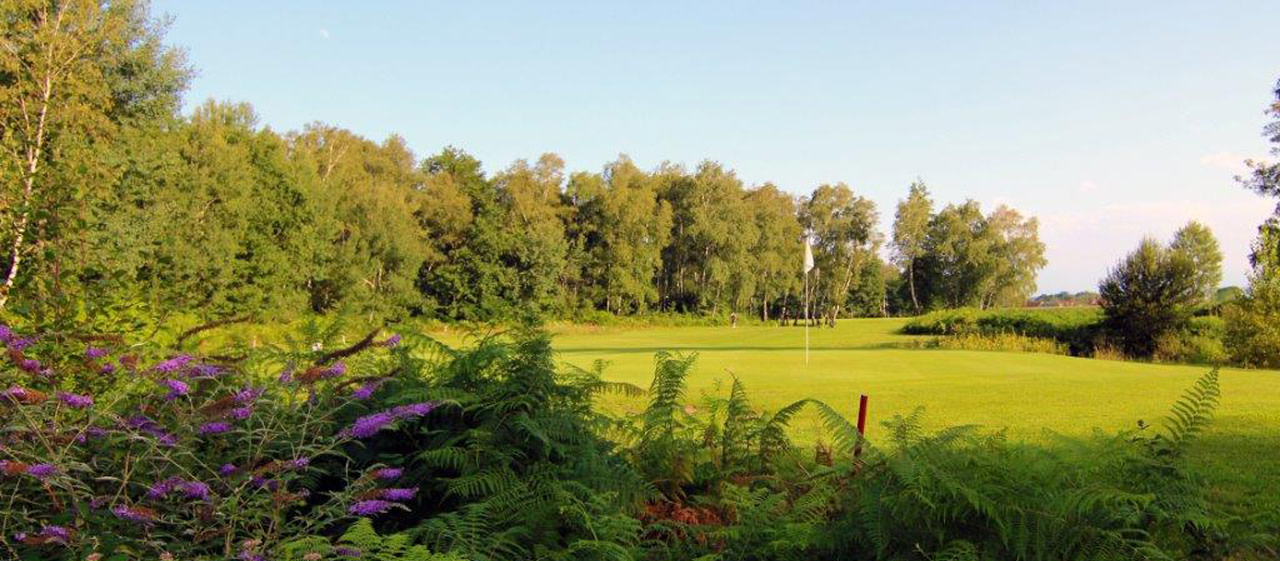 golf compact idron, idron, france - Golf course information and reviews.