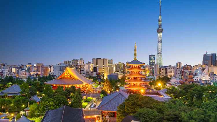Highlights of Japan Tour - Guided Japan Tours - Expat Explore Travel