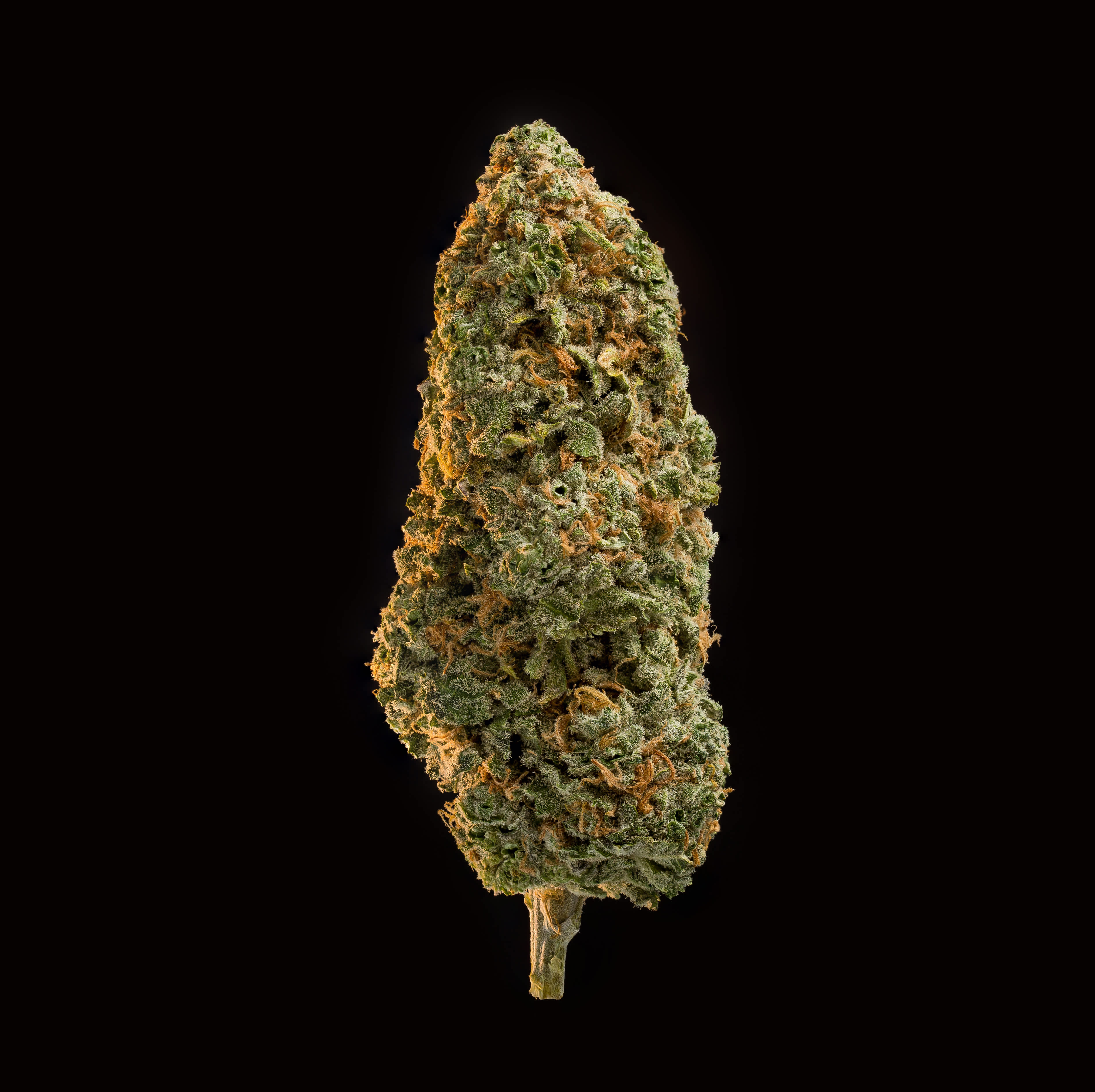 Product photography: Cannabis bud shots | Looney Bros. Photography