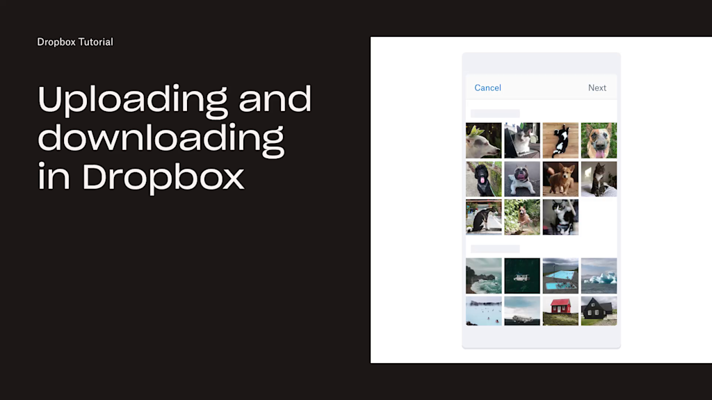 Dropbox tutorials: Explore our video tutorials | Dropbox learn