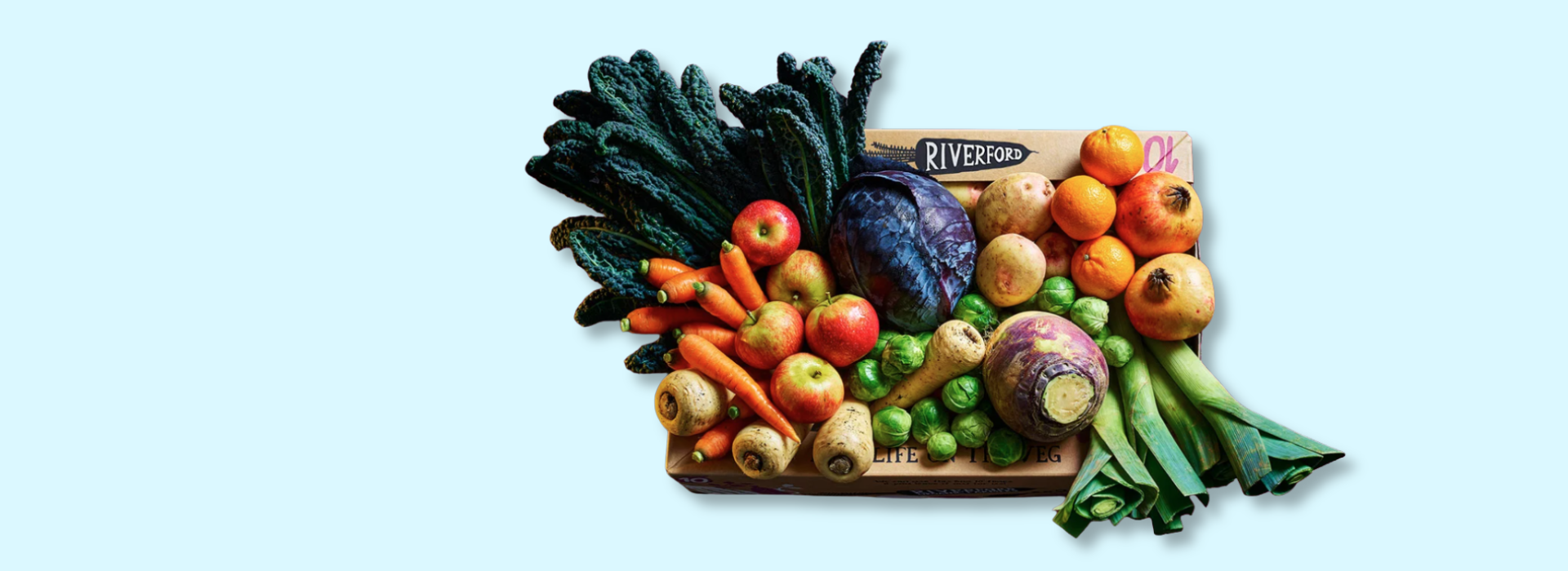 Riverford | Insights | Worldpay