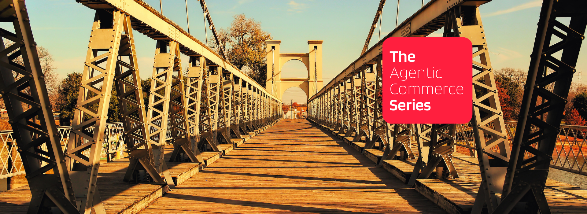 Agentic commerce and trust: The behavioural science behind AI-powered ...