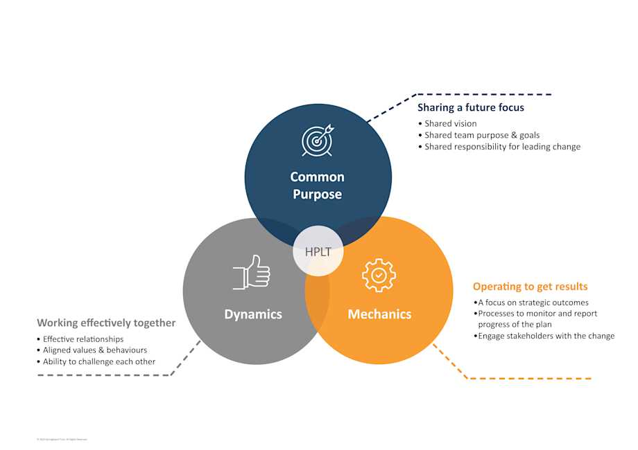 High Performing Leadership Teams | Springboard Trust