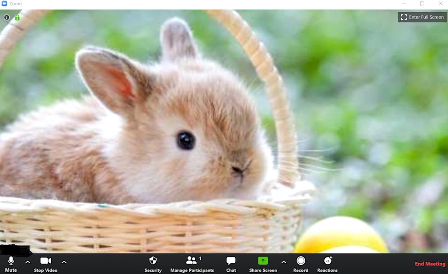 Springboard's guide to Zoom: The basics | Springboard Trust